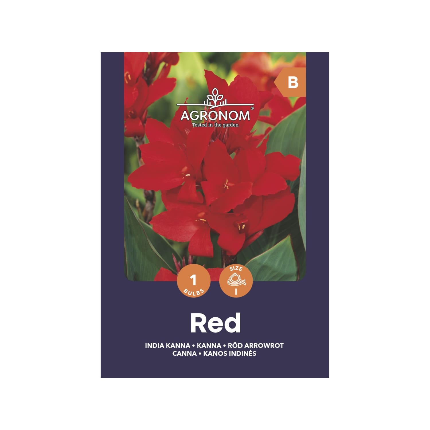 Kannas sarkanas Agronom SG25